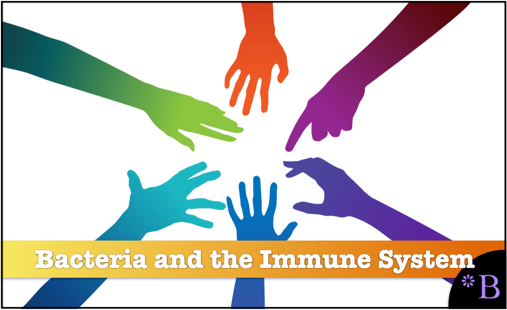 The Human Interaction Between Bacteria and the Immune System ...