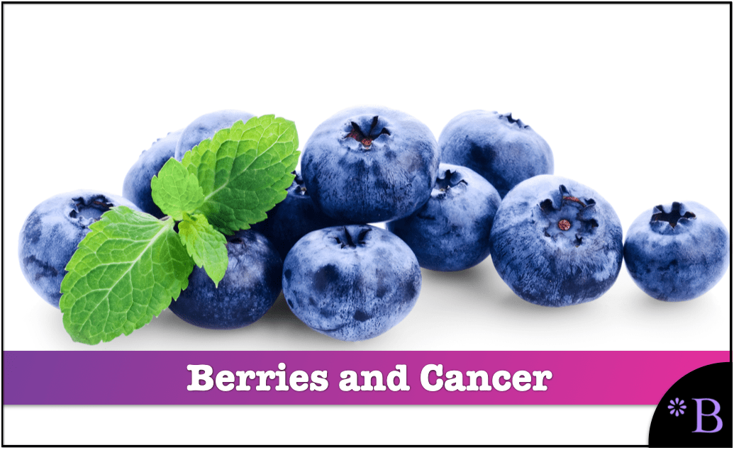 The Mechanisms by Which Berries Work Against Cancer - Brightwork ...