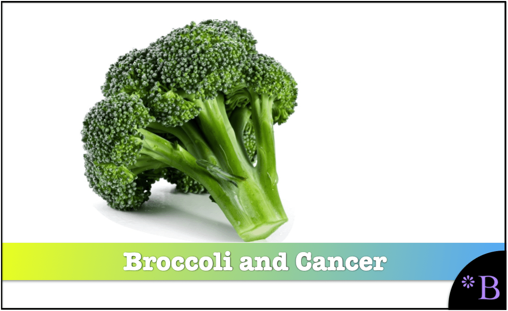 The Testing Evidence for Broccoli Against Cancer - Brightwork Research ...