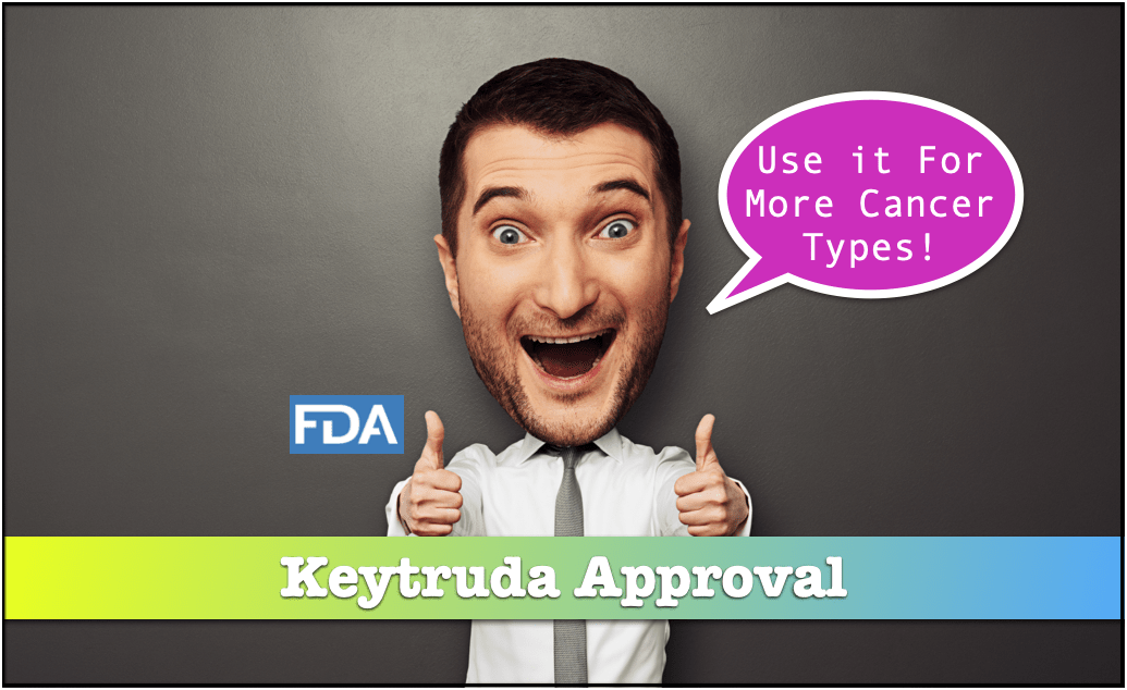 How Keytruda Has Been Approved by the FDA for Cancer for Which it is ...