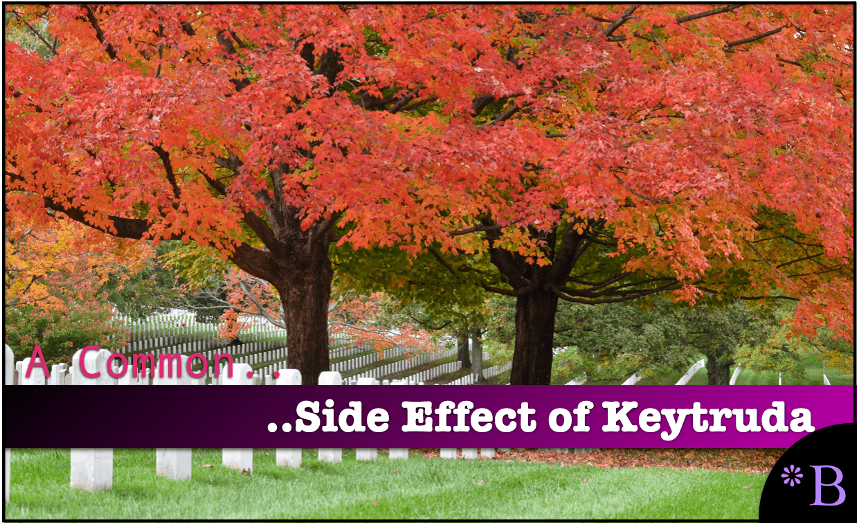 How Death is a Common Side Effect of Keytruda Immunotherapy ...