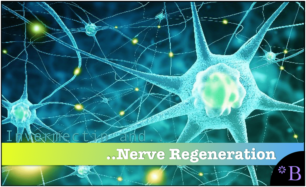 B Complex Nerve Damage at George Ochoa blog