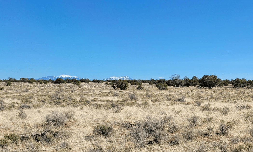 Recording Information and Logic for Areas to Look for Land and ...